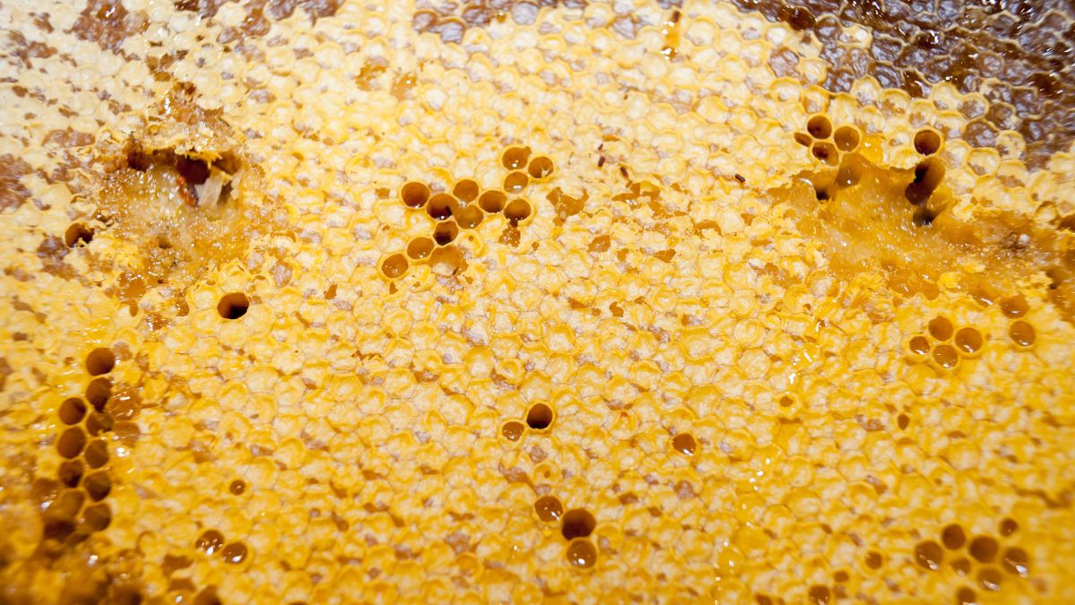 Geleia Real e Vitaminas: A Combinação Perfeita para a Saúde e a Beleza ...